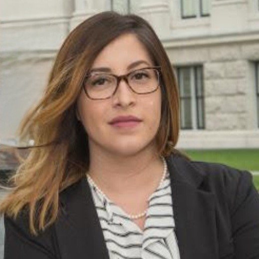 IADC Board - Iranian-American Democrats of California